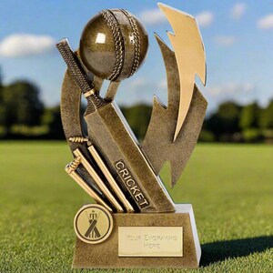 Cricket Flash Trophy Award, FREE ENGRAVING, Add Your Own Logo, Cricket ...