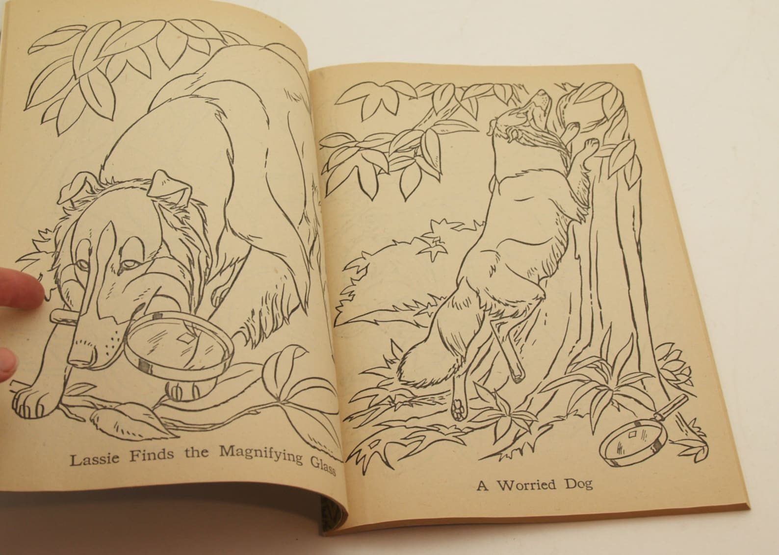 Vintage 1969 Unused Lassie Coloring Book - Etsy