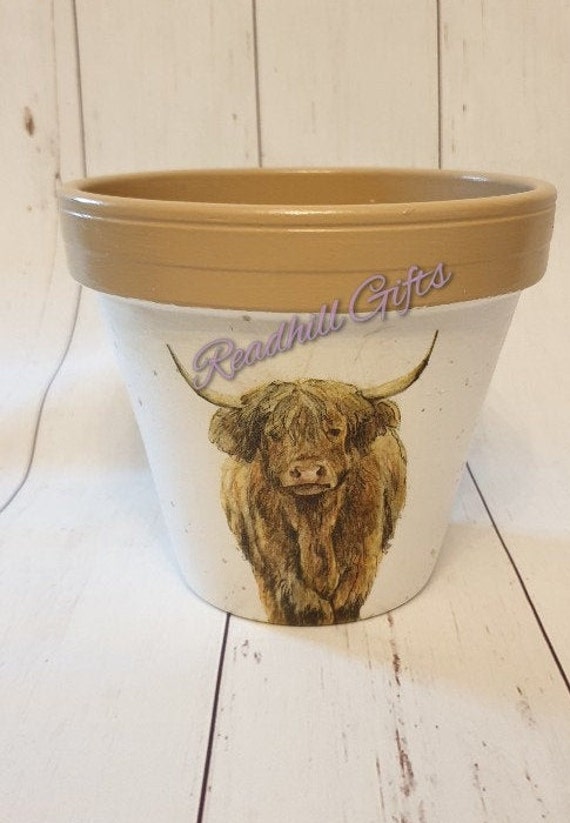 Indoor Planters Hand painted highland cow plant pot Home & Living etna ...