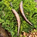 Bronze Sculpture Garden Fish Handmade Welded Metal Art Patina Outdoor ...