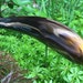 Bronze Sculpture Garden Fish Handmade Welded Metal Art Patina Outdoor ...