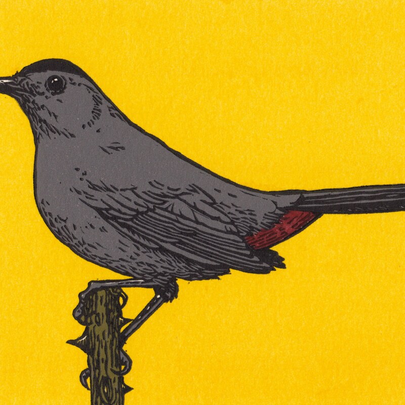 Catbird Painting - Etsy