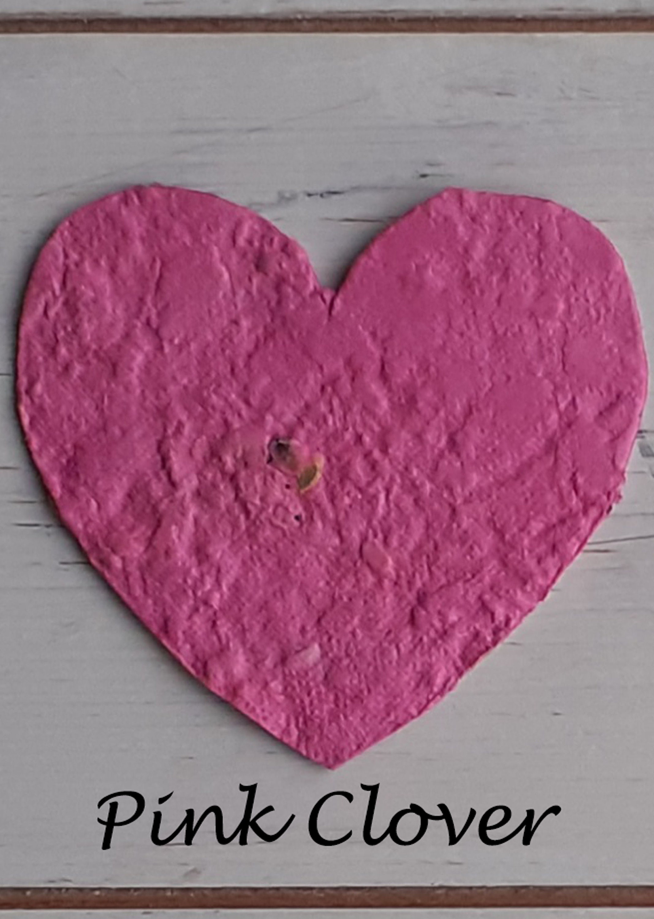 STAY SAFE Plantable Wild Flower Seed Heart Favour - Etsy UK