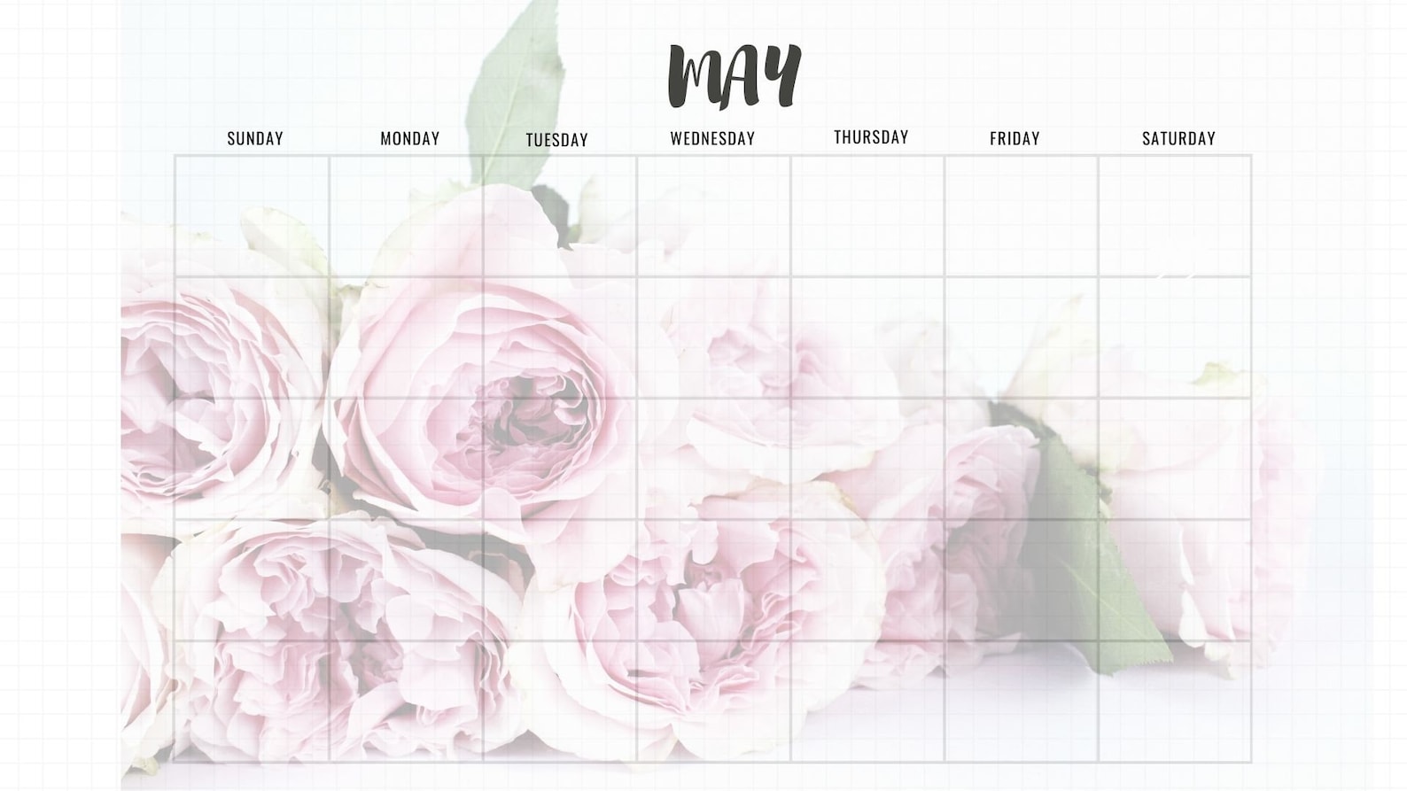 May-august | Monthly Blank Calendar | | 11 X 8.5 Inches | Horizontal ...