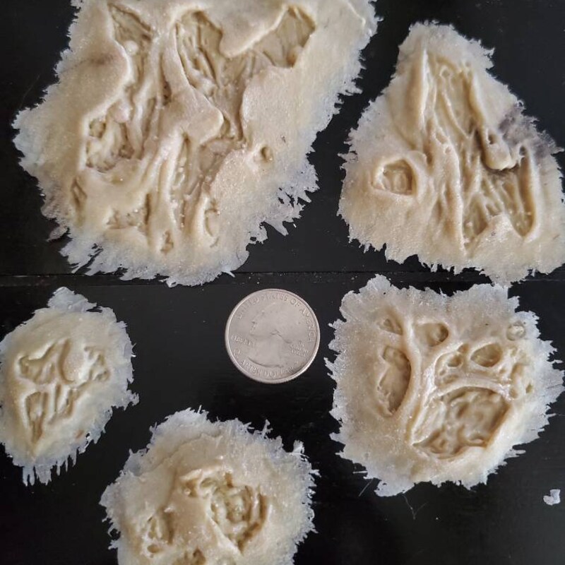 Zombie Apocalypse Costume - Etsy