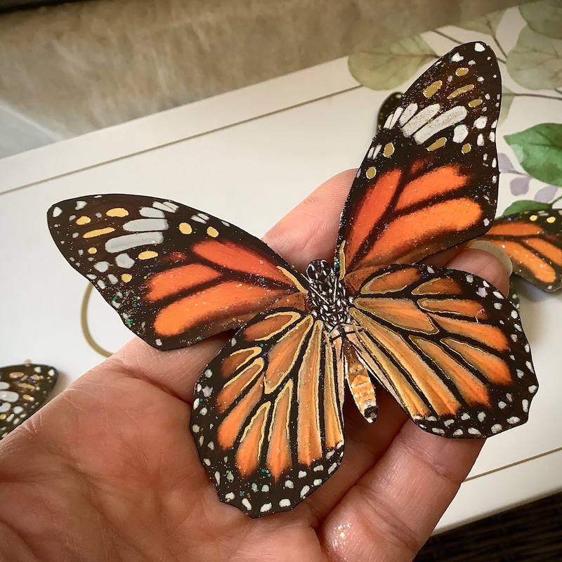 3d Butterfly Magnets - Etsy