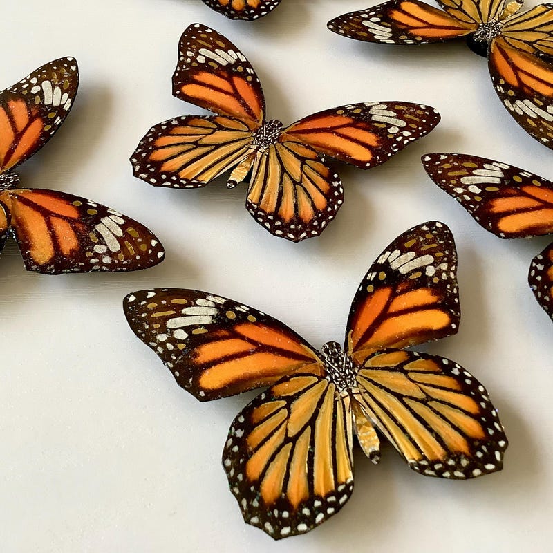 Butterfly Magnets - Etsy