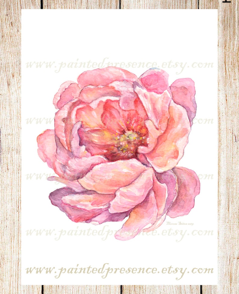 Custom Flower Portrait Plant Portraits Personalized - Etsy