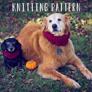 Dog Clothes PDF Knitting Pattern Immediate Download Easy Knitting ...