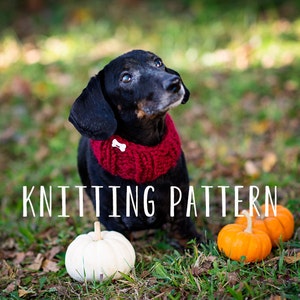 Dog Clothes PDF Knitting Pattern Immediate Download Easy Knitting ...