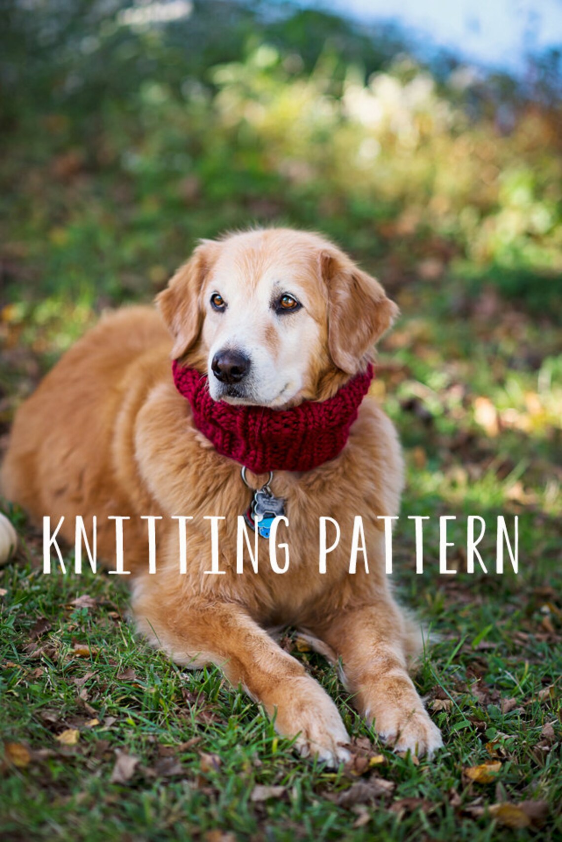 Dog Clothes PDF Knitting Pattern Immediate Download Easy Knitting ...