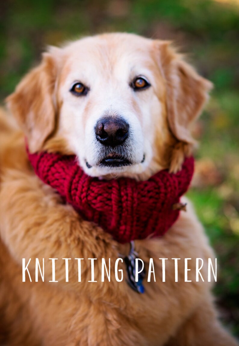 Dog Clothes PDF Knitting Pattern Immediate Download Easy Knitting ...