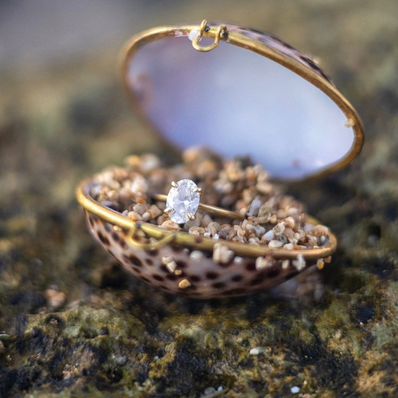 Shell Pill Box - Etsy