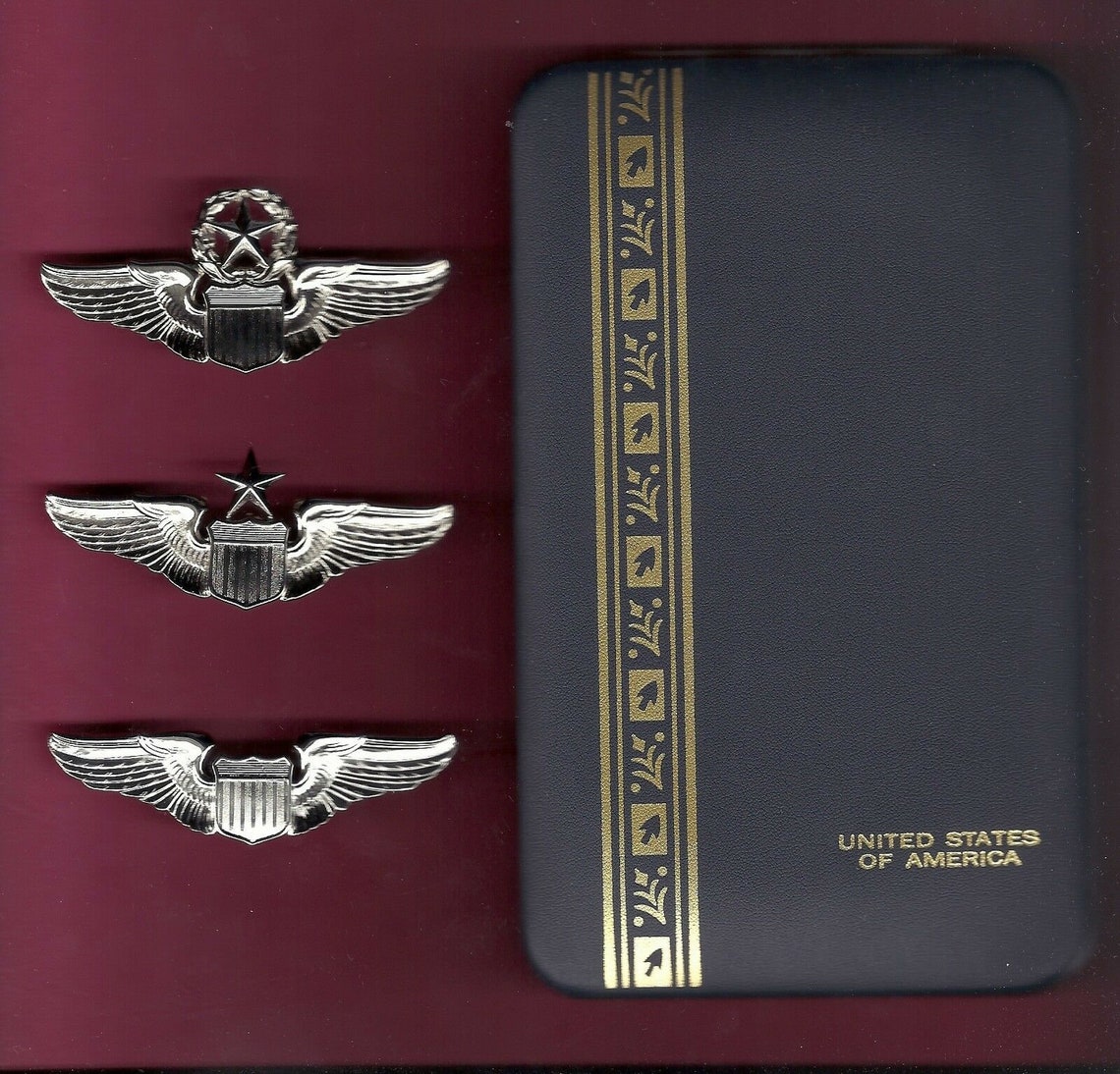 US Air Force USAF Pilot Wings Set of 3 With Case - Etsy