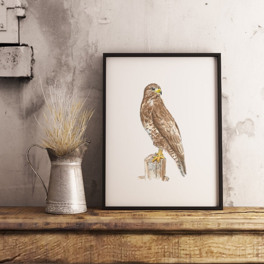 Buzzard Art Print - Etsy