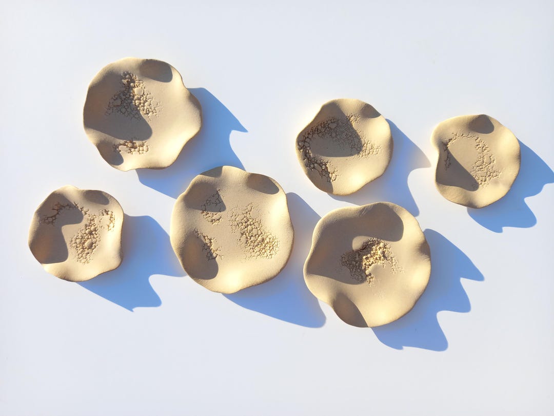 Beige Porcelain Flower Tiles: Ceramic Wall Sculpture Set of 6 - Etsy