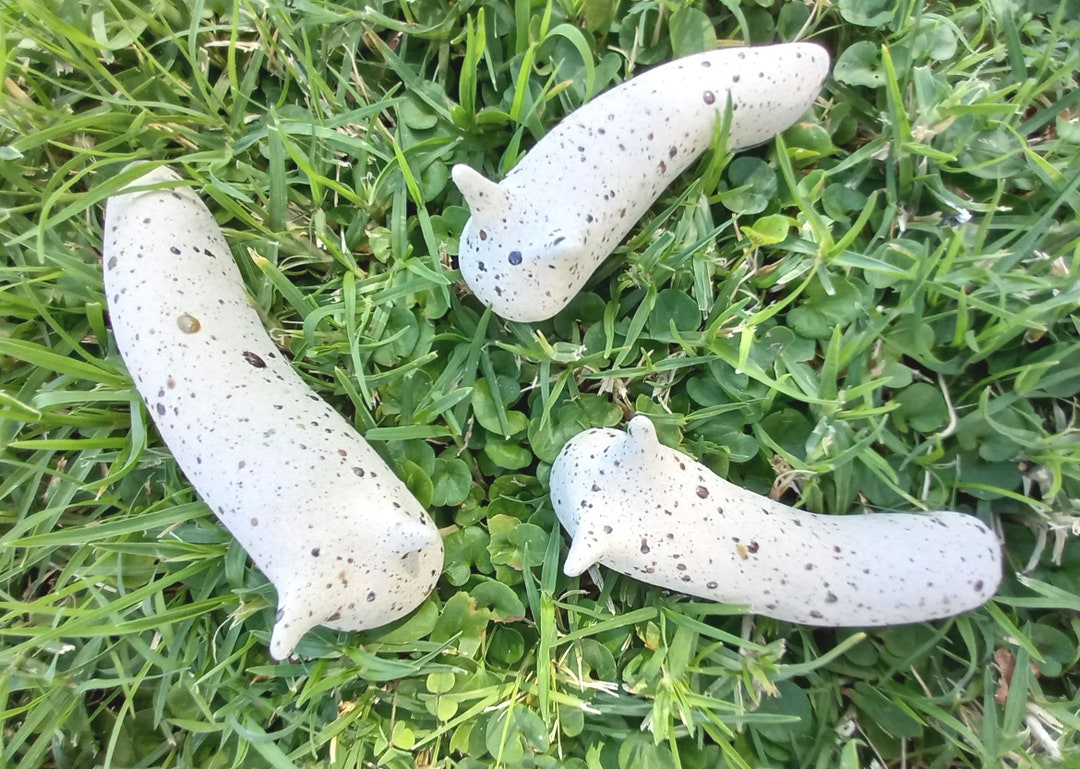 Ceramic Slugs, Beige Specked Stoneware. Plant Bugs, Garden Slug ...