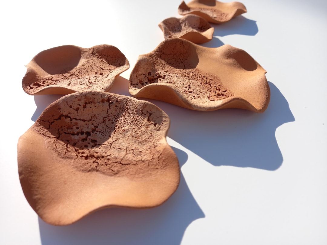 Set of 11 Terracotta Desert Flower Tiles - Ceramic Wall Art Sculpture ...
