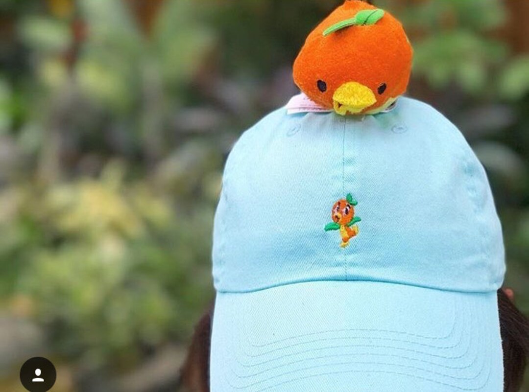 Orange Bird Disney Baseball Dad Hat- Embroidered Disney World ...