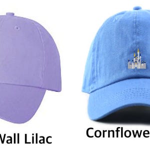 Disney Castle Hat, Disney World Castle Hat, Disney Dad Hat, Cinderella ...