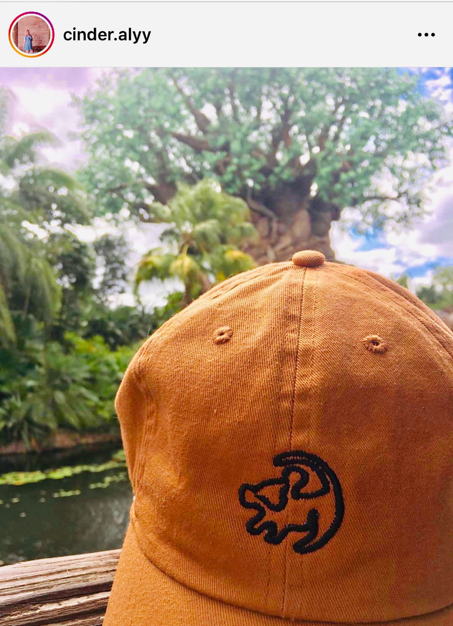 Lion King Simba Outline Embroidered Disney Baseball Dad Hat - Etsy