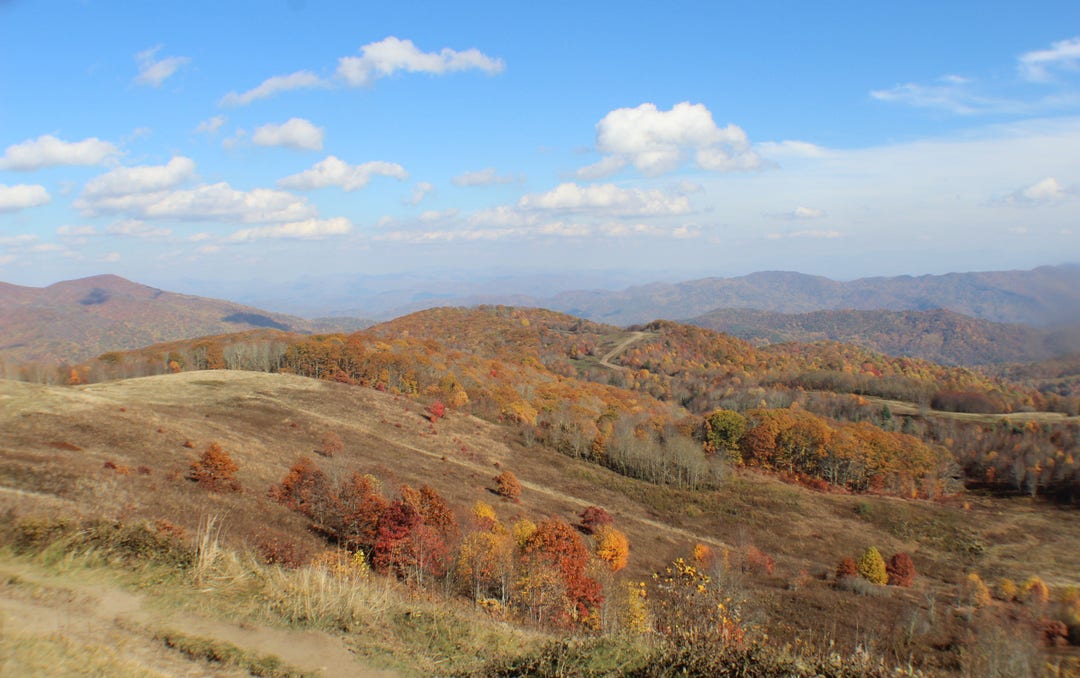 Max Patch Mountain View, Fall Landscape Photograph Prints Available in ...