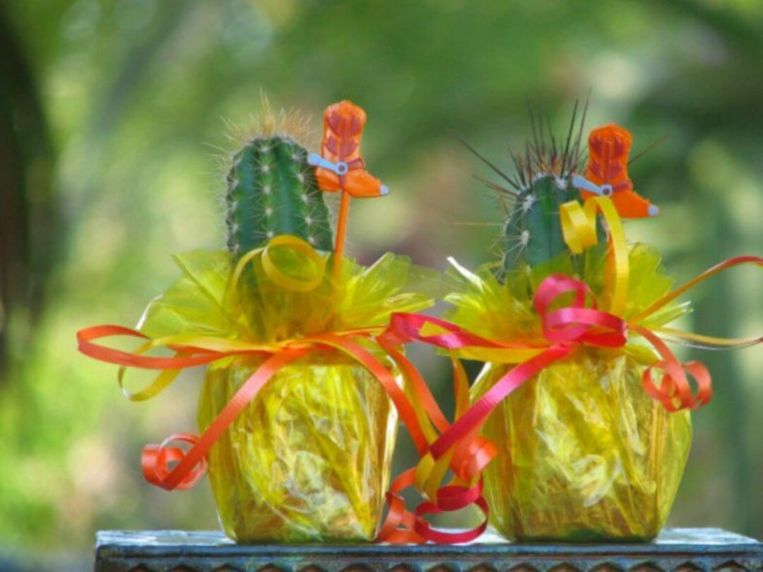 10 Mini Cactus Plant Party Favor Tex-mex, Party Favors, Potted Mini ...