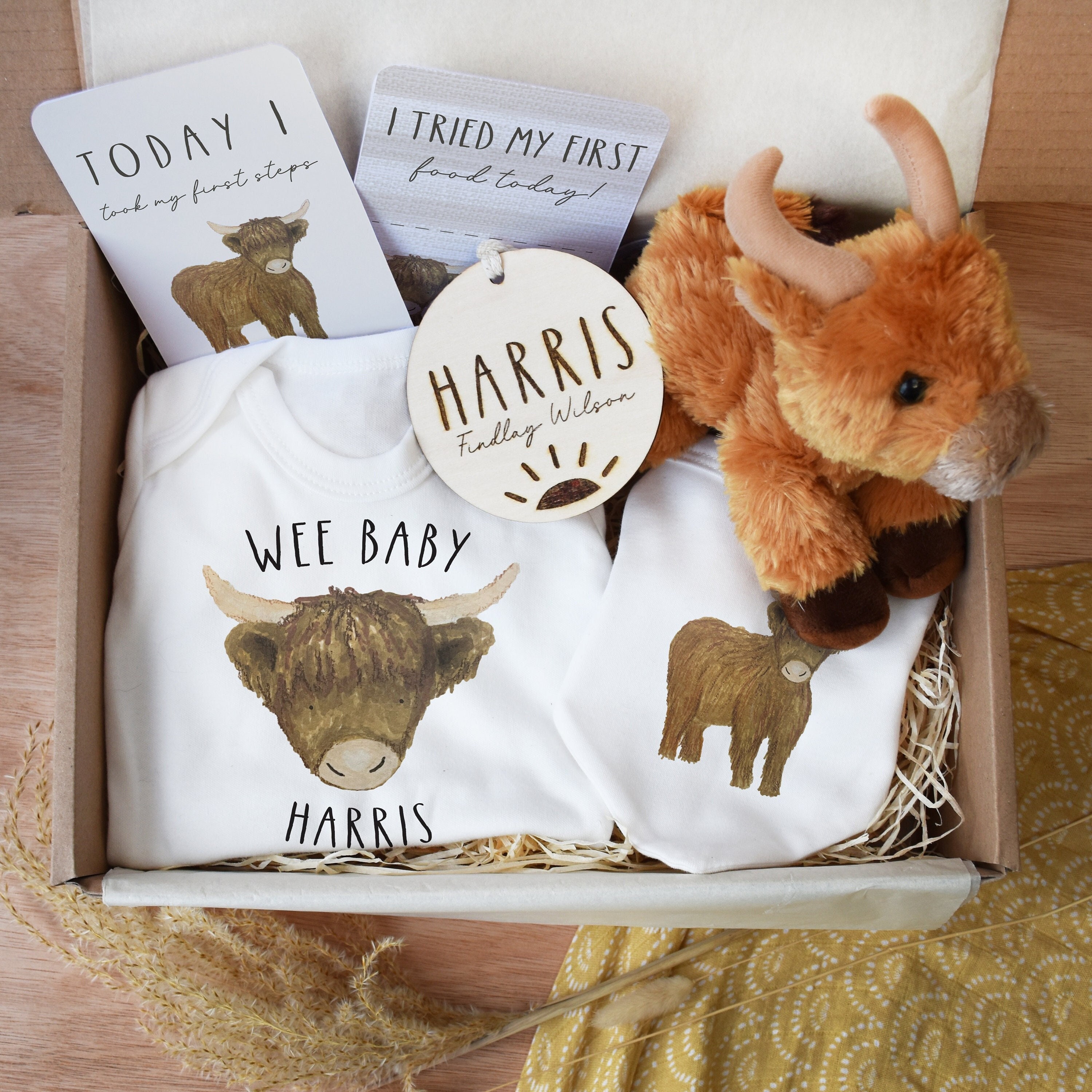 Personalised Highland Cow Baby Gift Set Newborn Gift Set - Etsy