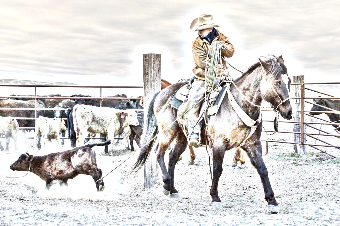 Western Greeting Card for Cowboy Ranch Card for Western Birthday Card ...