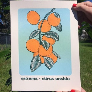 Satsuma // Screen Print - Etsy