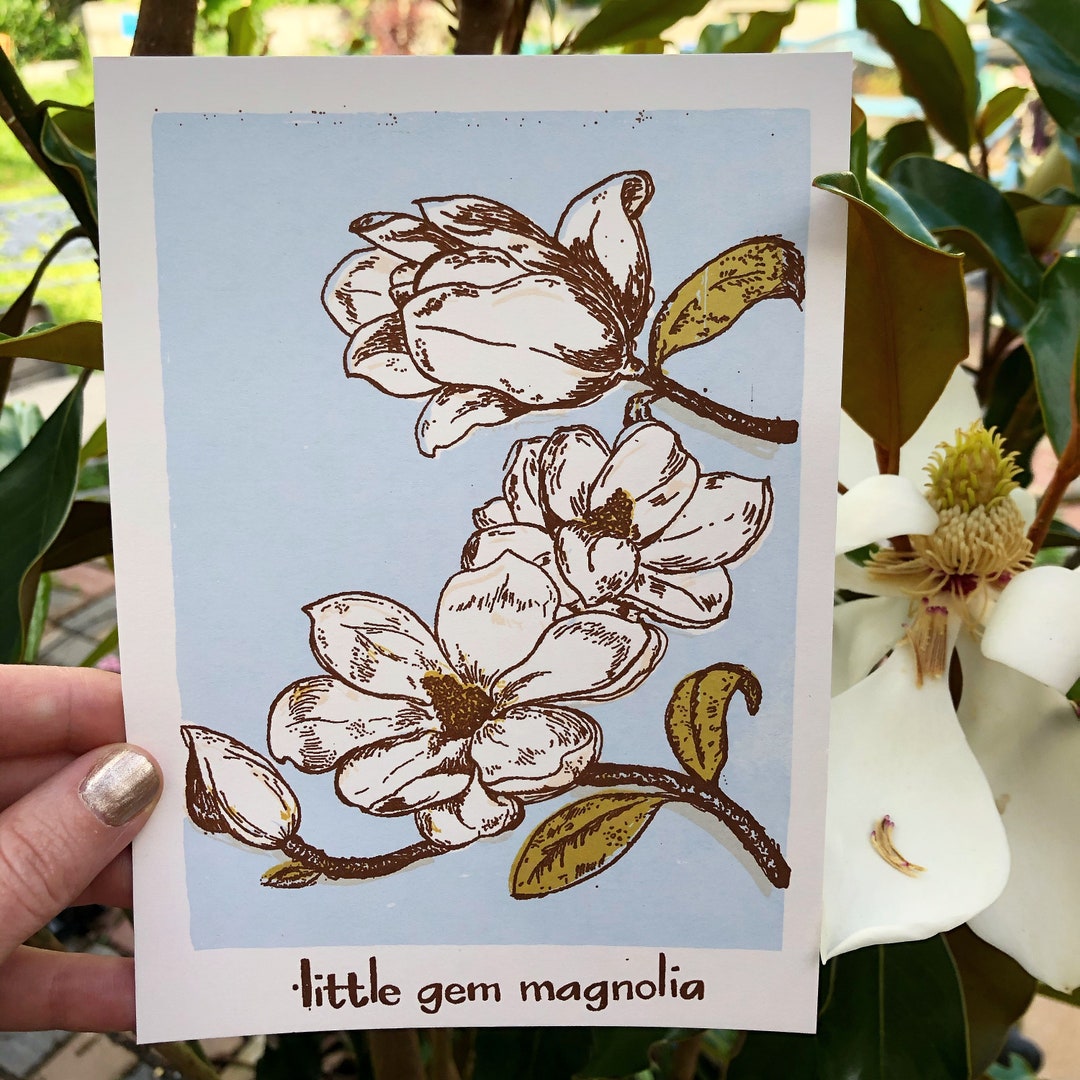 Gem Magnolia // Silk Screen - Etsy