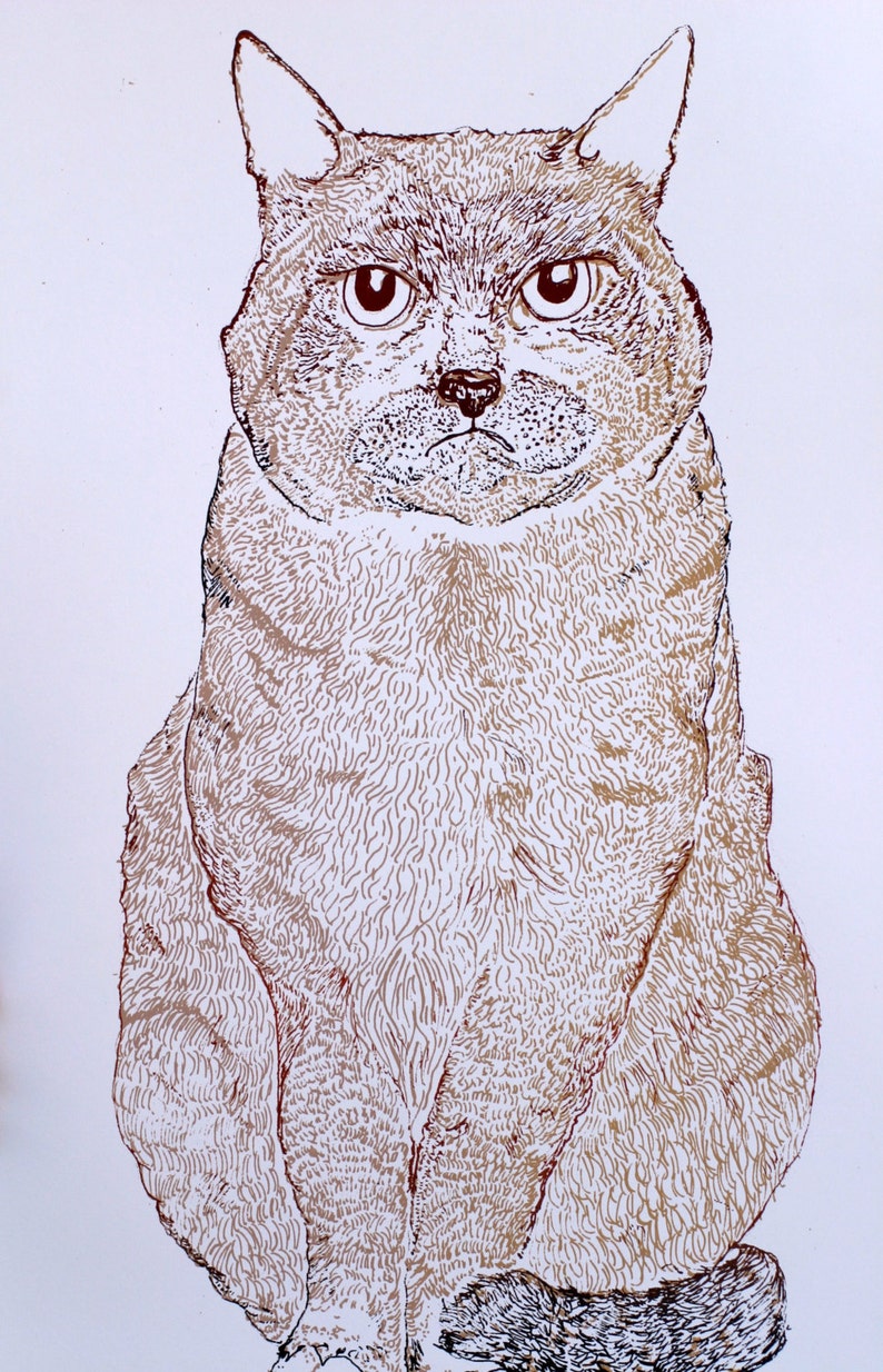 Fat Cat Screen Print // Long Haired Colorpoint - Etsy