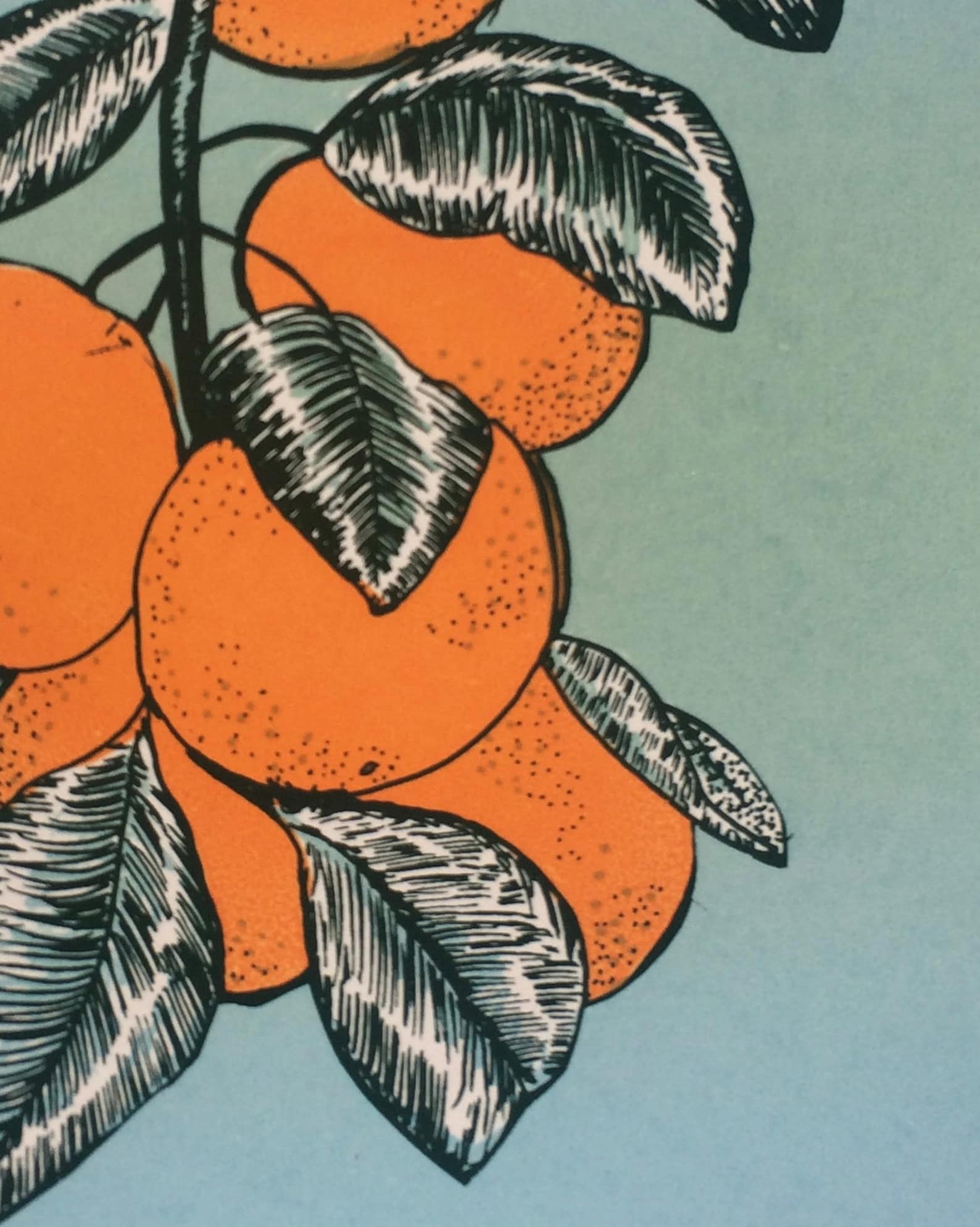Satsuma // Screen Print | Etsy