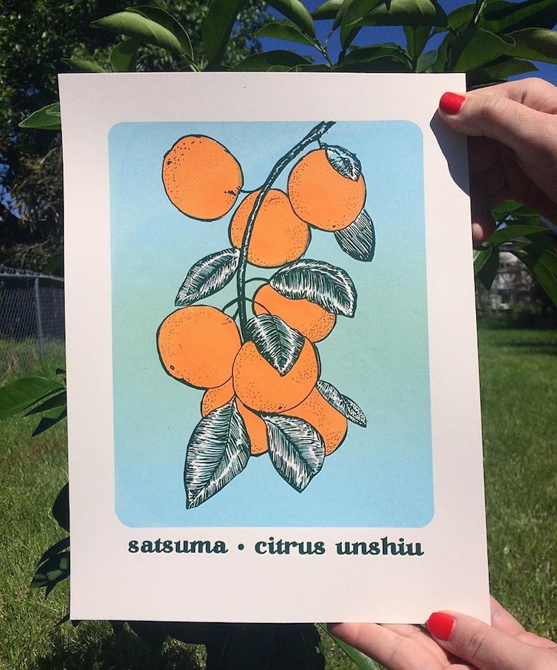 Satsuma // Screen Print | Etsy