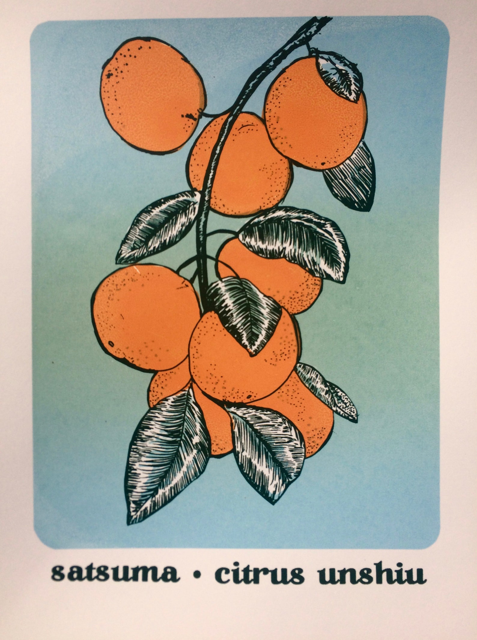 Satsuma // Screen Print | Etsy