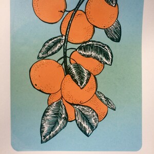 Satsuma // Screen Print - Etsy
