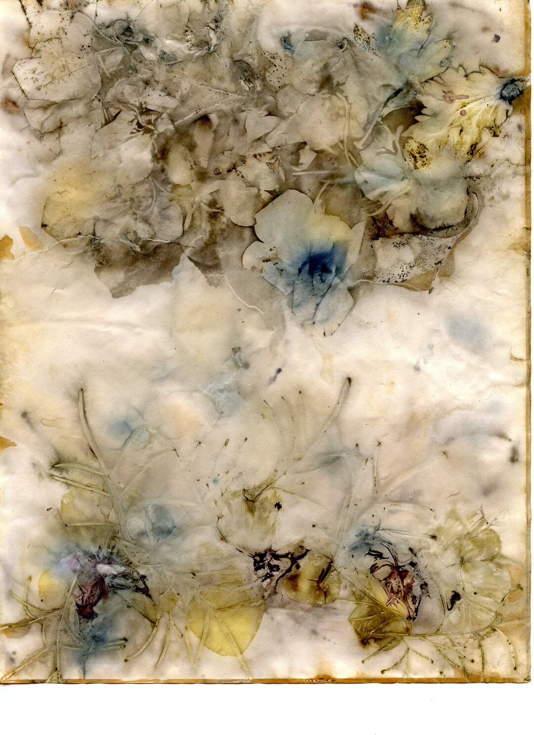 Eco-prints for DIGITAL DOWNLOAD, Eco-dyed Prints for Pages in Journals ...