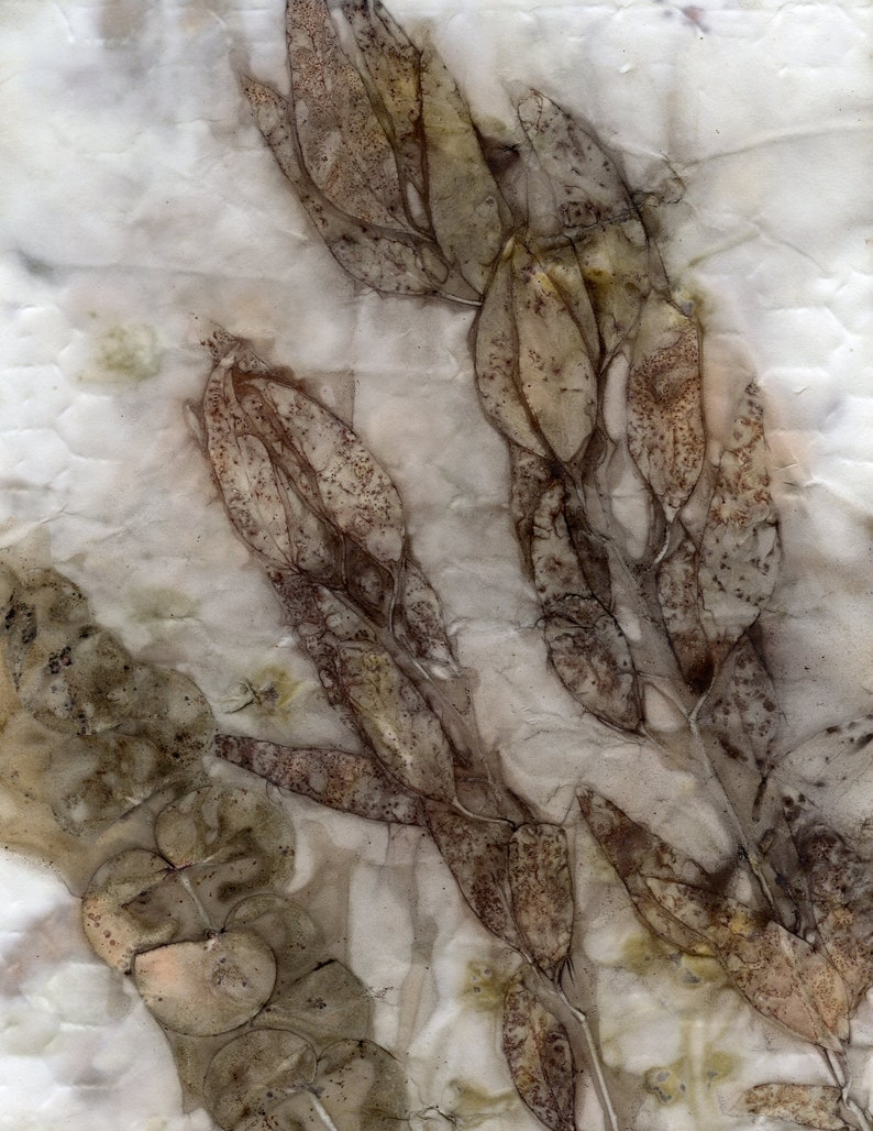 Eco-prints, DIGITAL DOWNLOAD, Eco-dyed Prints Are Perfect for Pages in ...