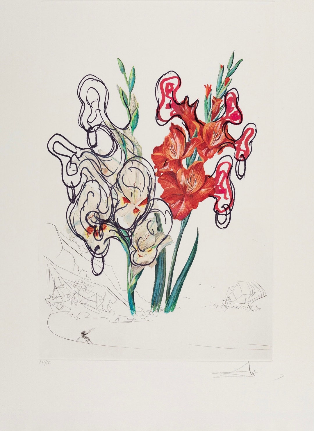 Salvador Dali 1972 Gladiolus Aurium Corymbo Expectantium Hand Signed ...