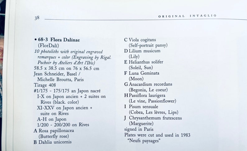 Salvador Dali : Flordali Sunflower Helianthus Solifer Hand - Etsy