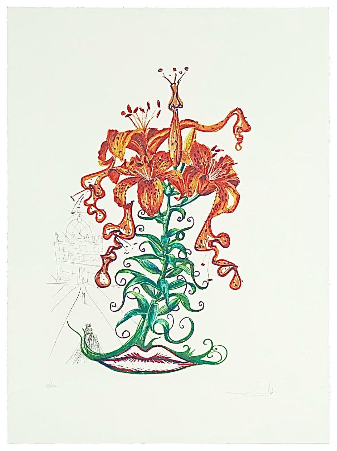 Salvador Dali : Tiger Lilies of the Theatre From the Surrealistic ...