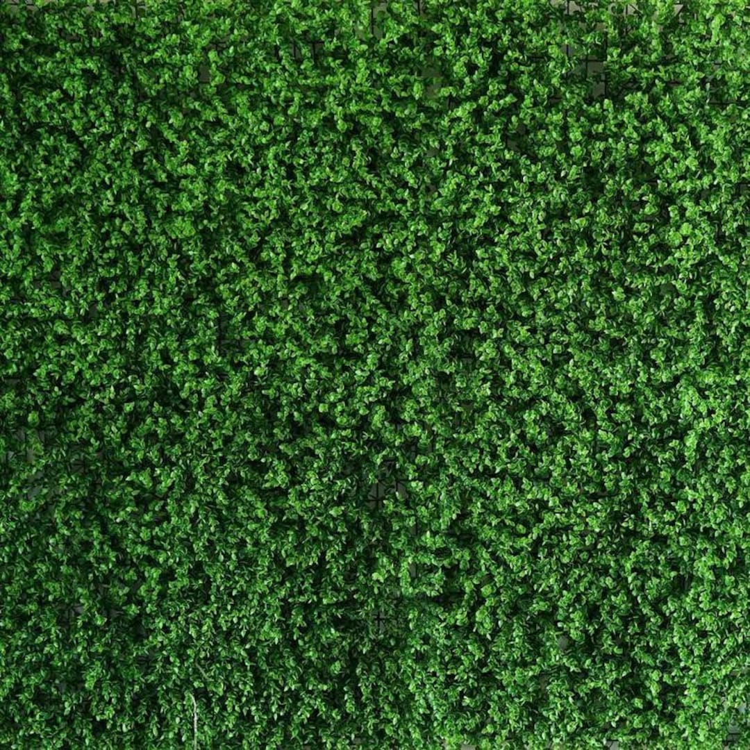 Artificial Grass Wall Backdrop Baby Shower Backdrop Photo Booth ...