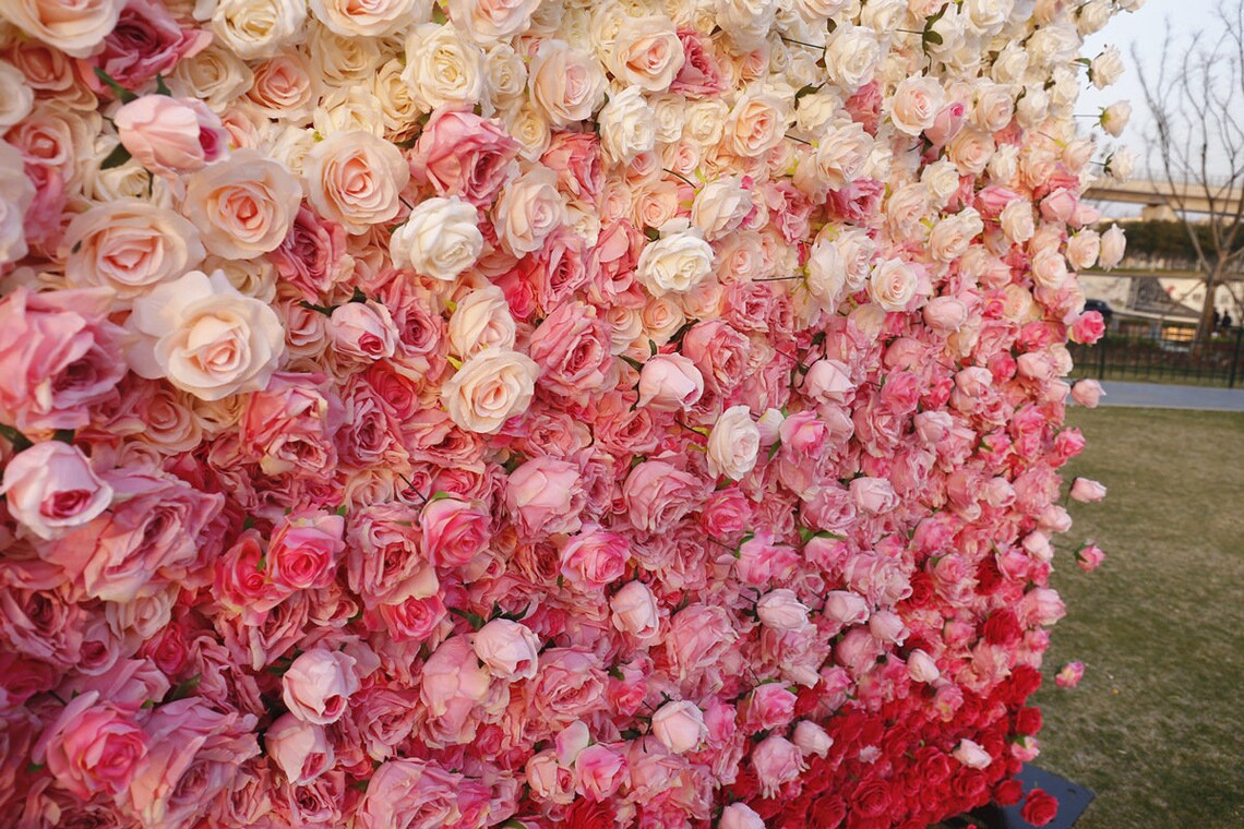 New Design Gradul Colour Flower Wall for Wedding Arrangement Event ...