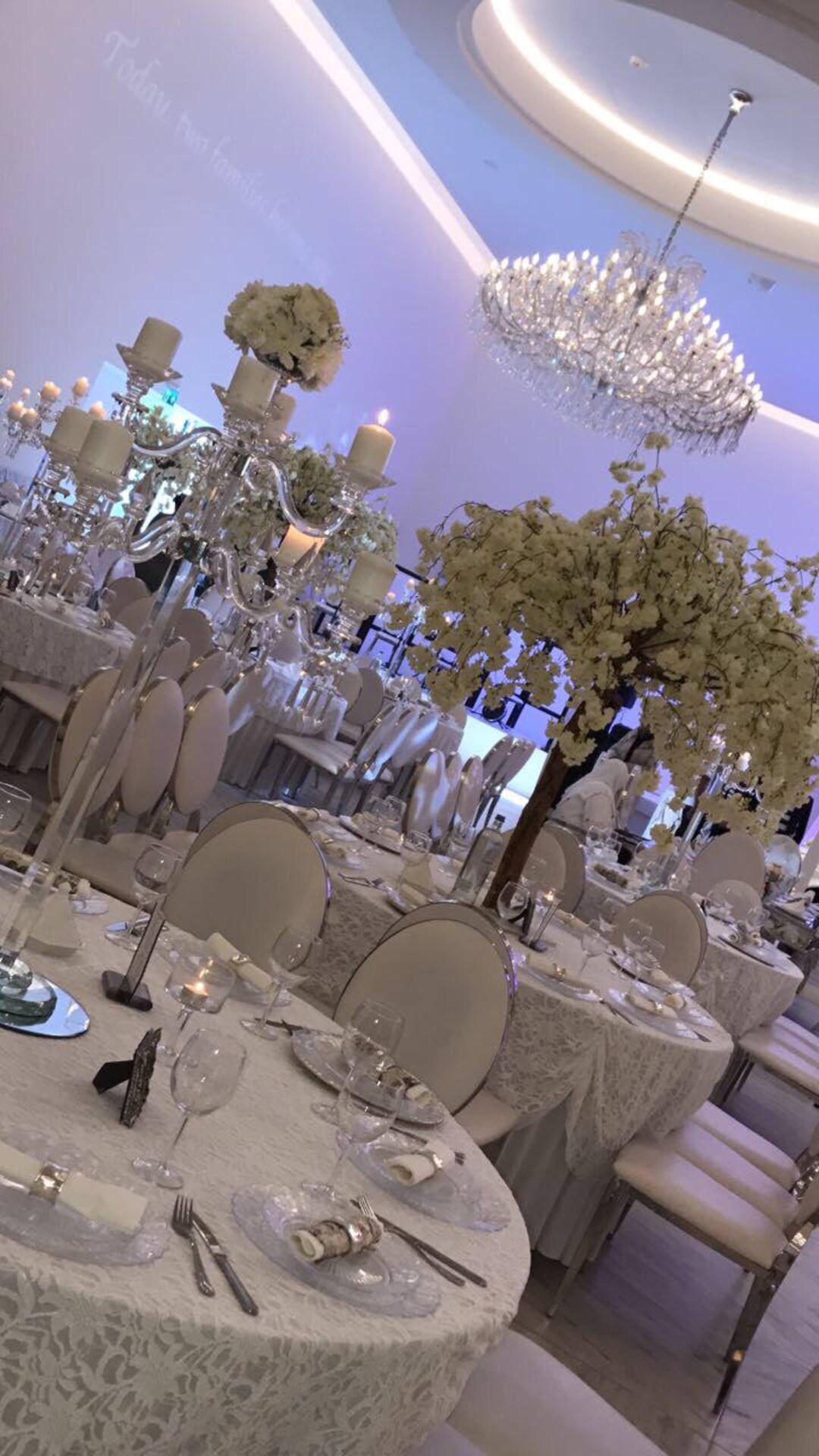 5 Stems Wedding Simulation Silk Cherry Blossom Length 140cm/55.12 ...