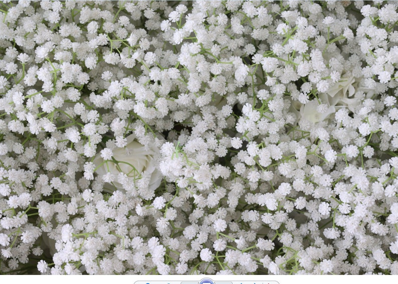 High Quality White Rose Baby Breaths Mix Flower Wall for - Etsy