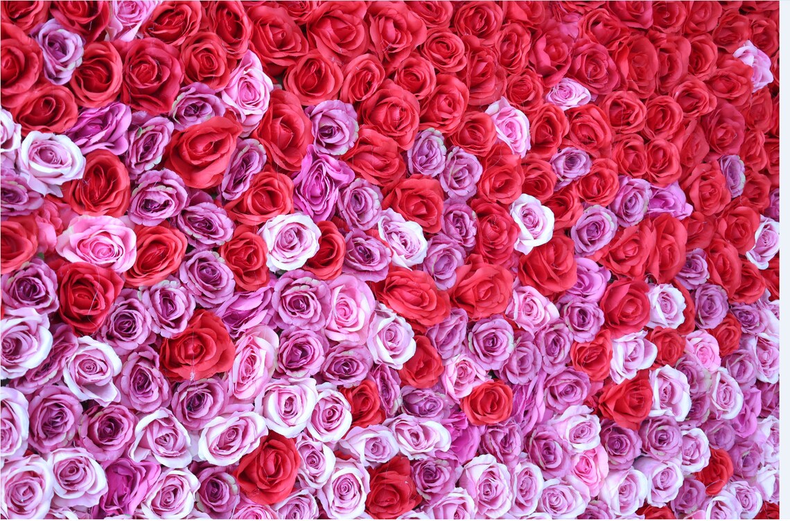 New Design Gradul Colors Flower Wall for Wedding Arrangement Event ...
