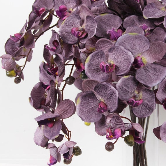 Centrotavola Di Orchidee Viola Composizione Di Orchidee E Piante
