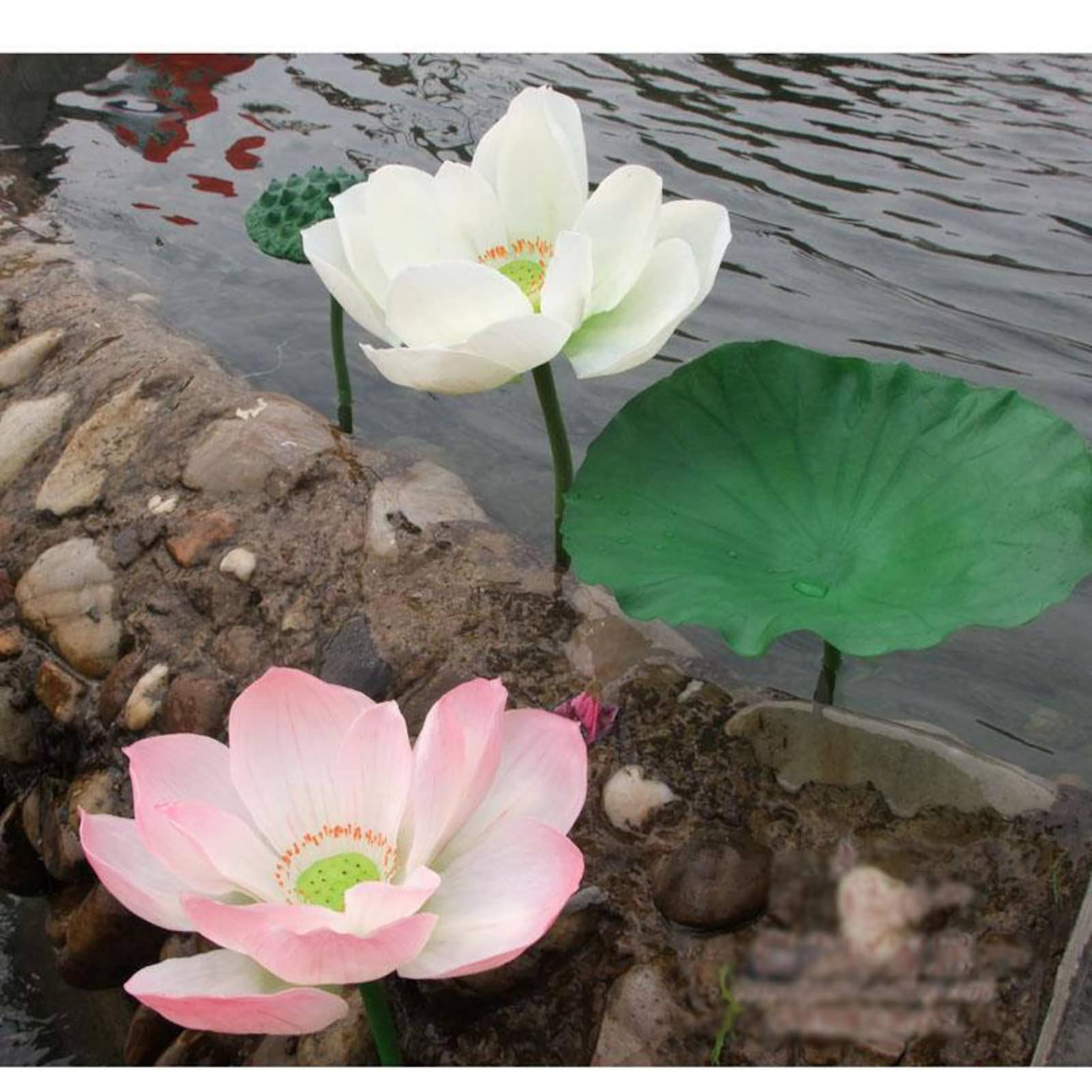 Artificial Simulation Lotus PU Real Touch Feel Hand Water Lily - Etsy