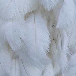 3D White Feather Wall on Cloth Fabric Wedding Party Photo Backdrop ...