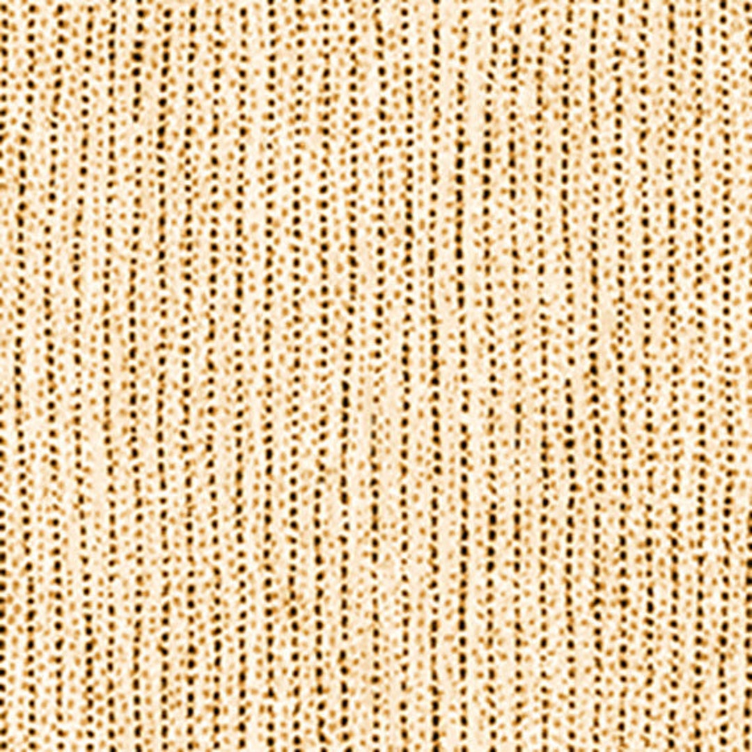 Queen of We'en - Appliqueen Line Texture in Light Peach - Ween Stripe ...